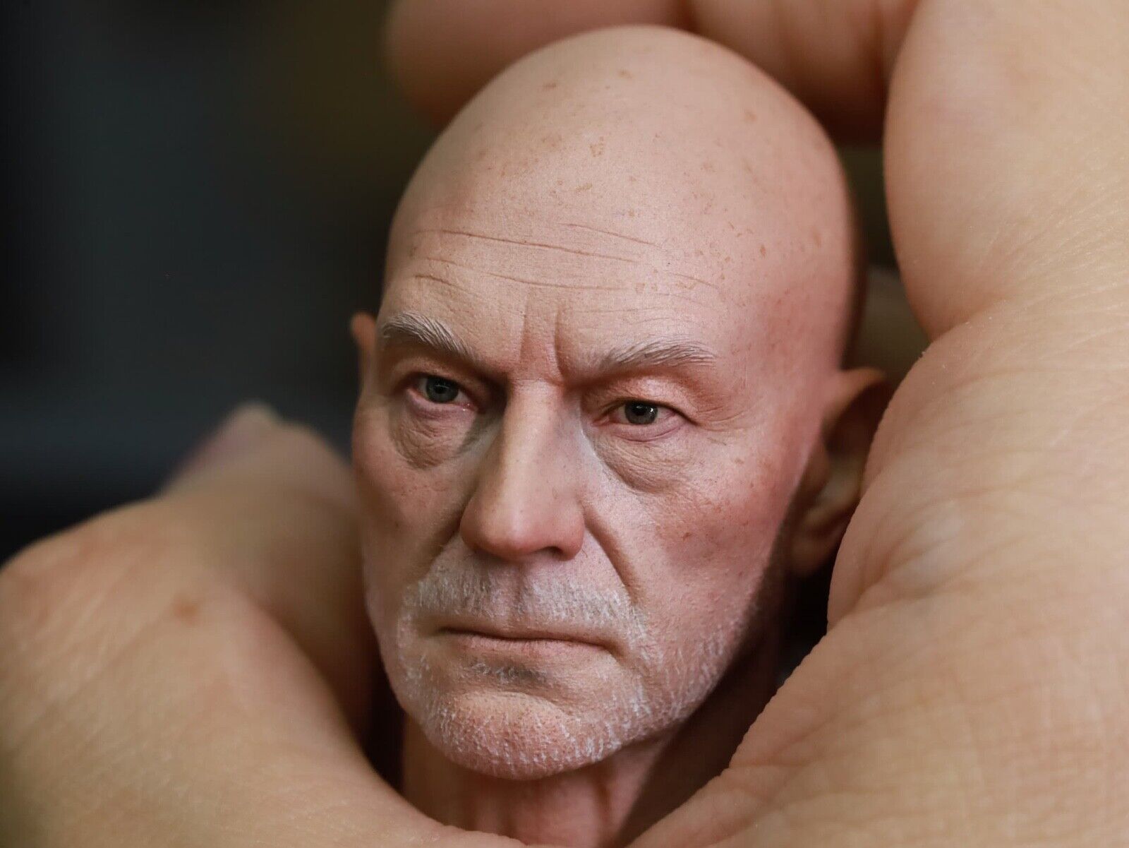 Professor X Headsculpt (X-Men) - Custom Made [1:6 scale] RARE ...